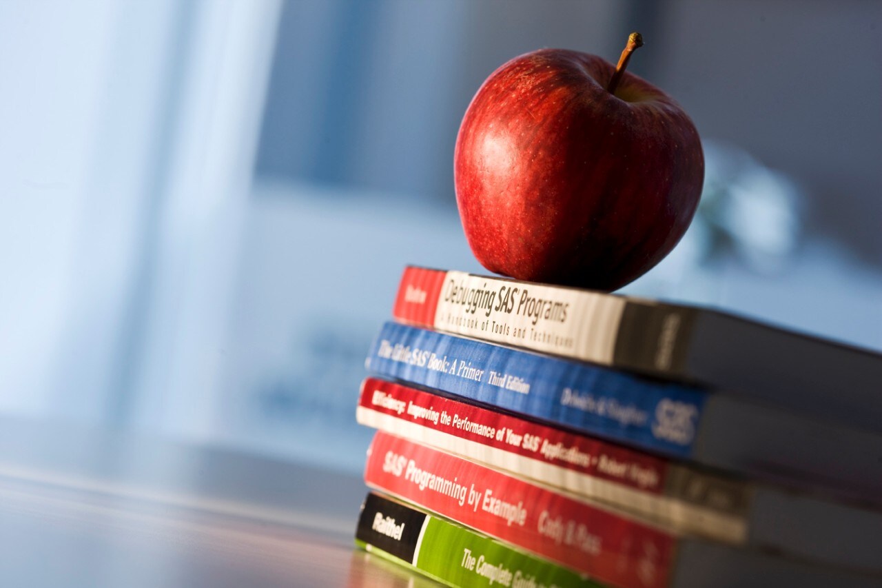 Maintenance | SAS Support